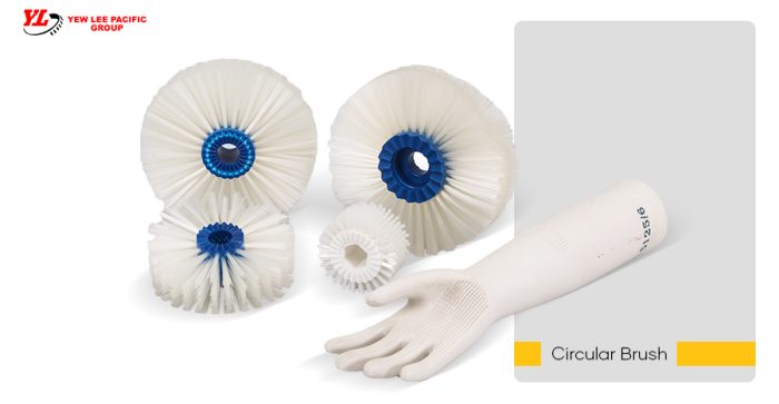 What Are The 5 Best Types of Brushes For Latex Glove Manufacturing ...